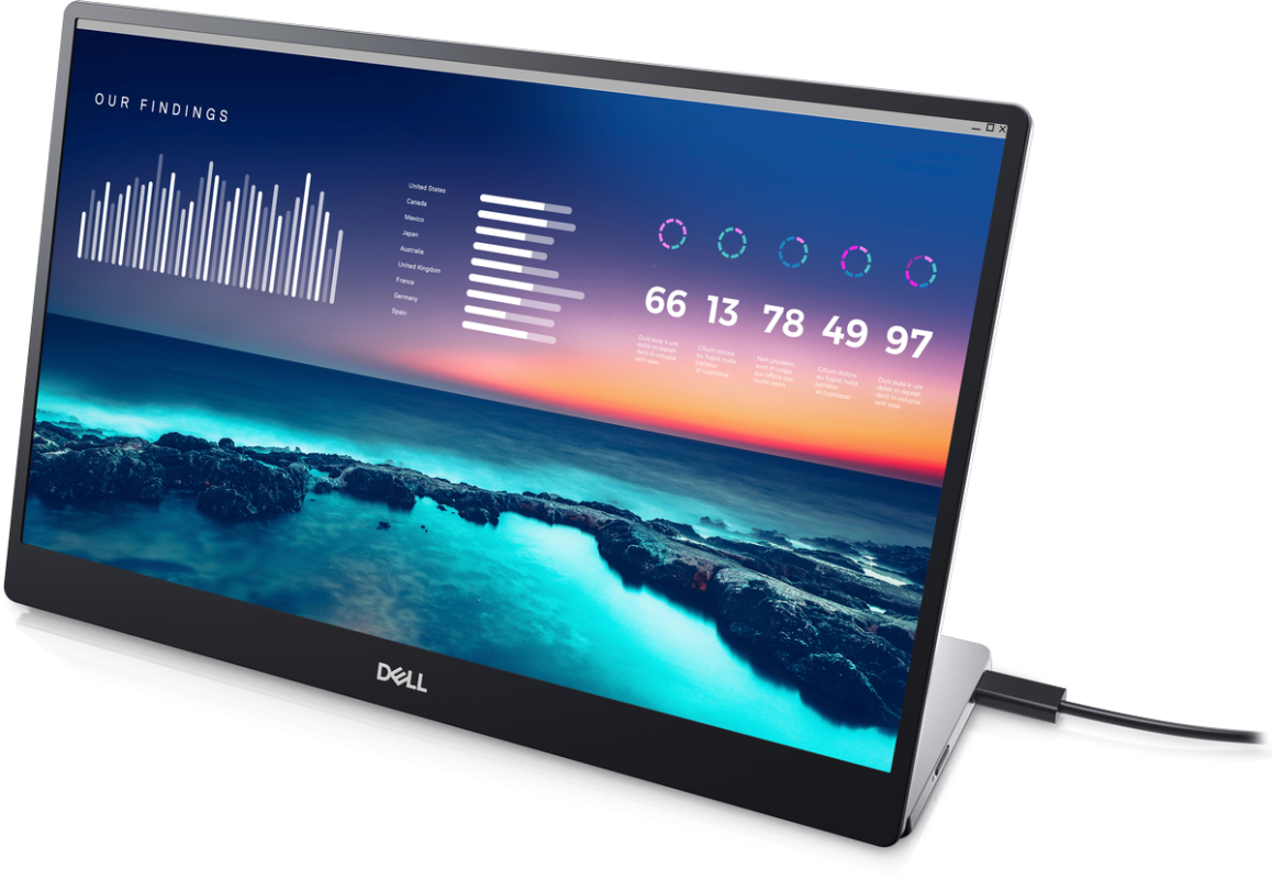 Dell 14 Portable Monitor - P1424H - Tech Guy SA